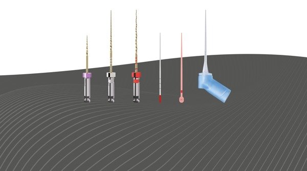 Assista online: Hands on: TruNatomy - Dentsply | Ident